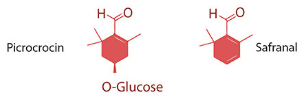 Biologischer Safran, das rote Gold gegen Depressionen